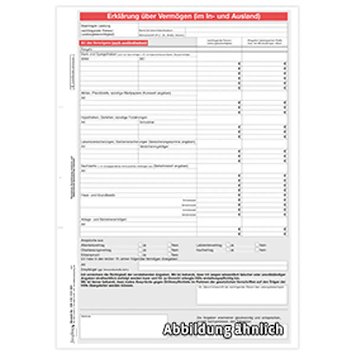 Hochwertige Erklärung über Vermögen A4 - 266041-009 | online kaufen ...